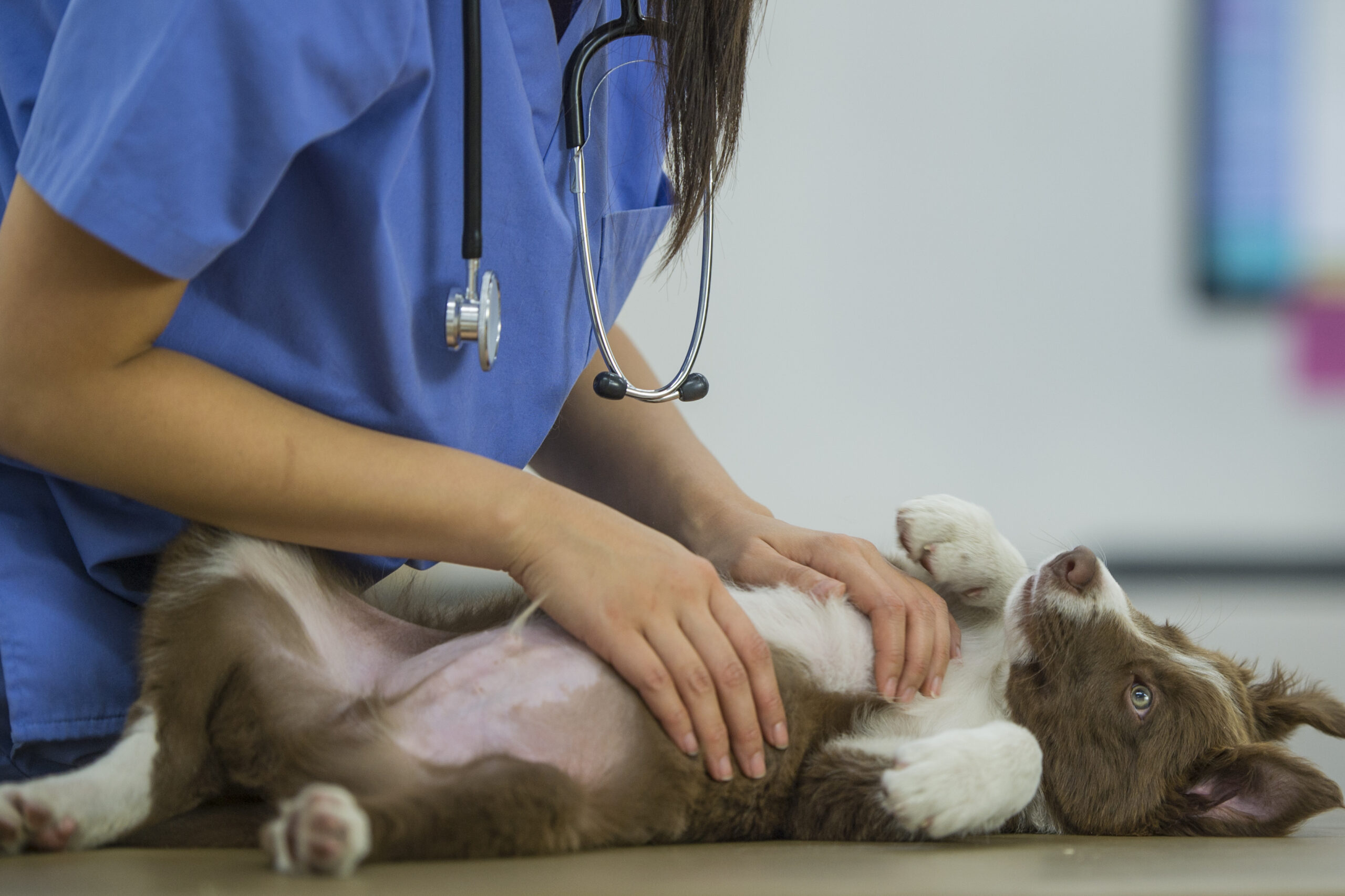 An Ounce of Prevention: Why Annual Exams Are Important - Front Range ...